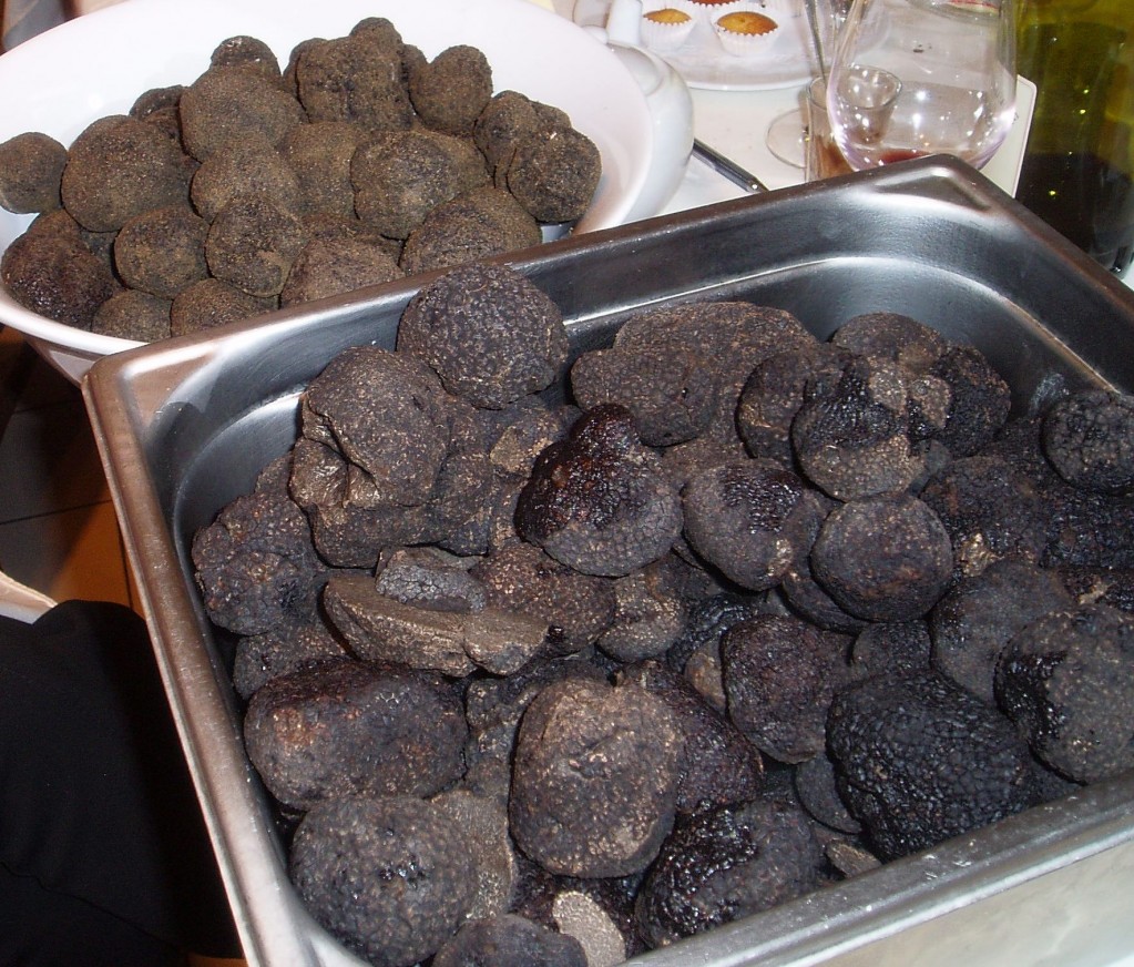 Truffle Getaway in Provence « Culinary Getaways Sherry Page