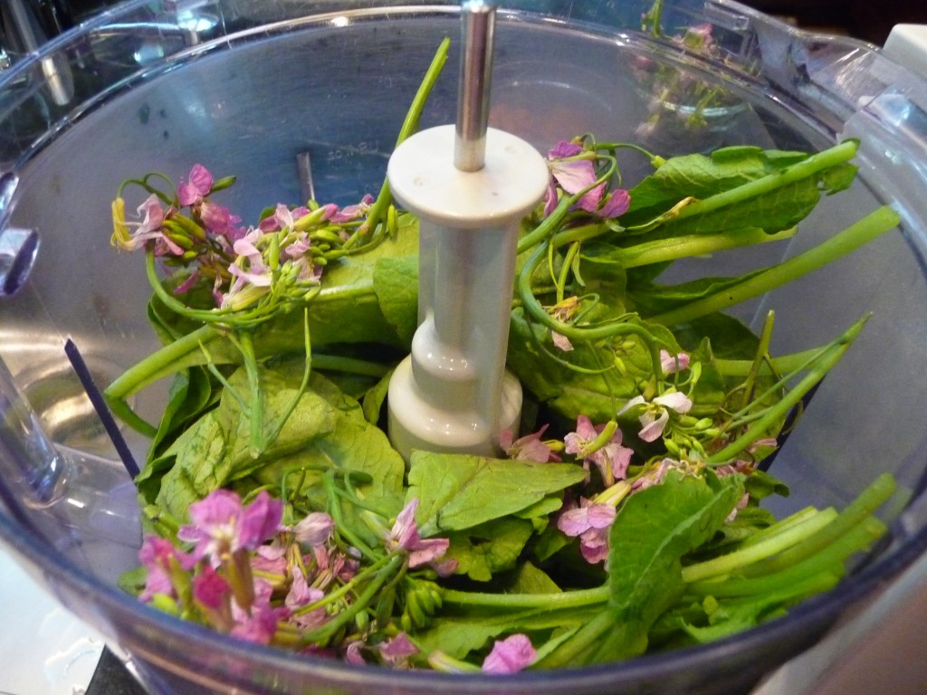 Baby Radish Appetizers « Culinary Getaways Sherry Page